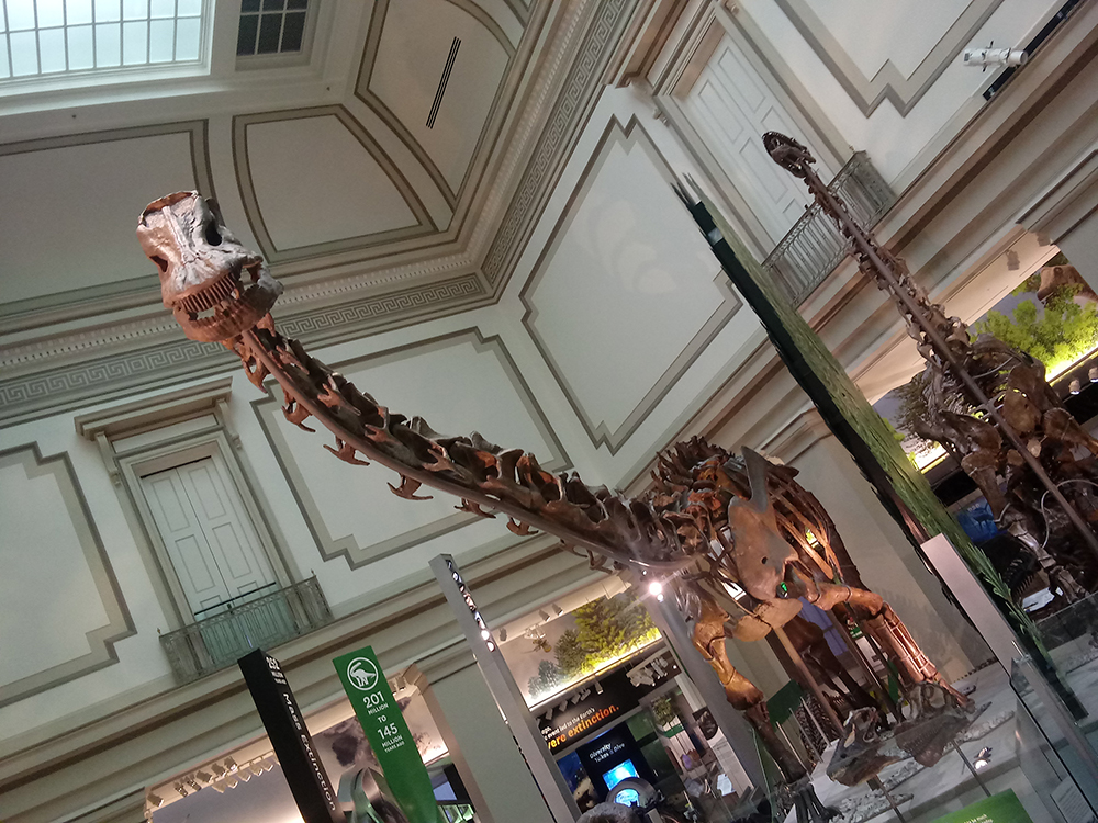 Dinosaur Engineering | Washington D.C. & Maryland Area | Capitol ...